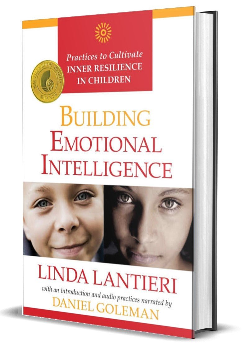 Building emotional intelligence|Linda Lantieri – Dubai - Buy Used ...